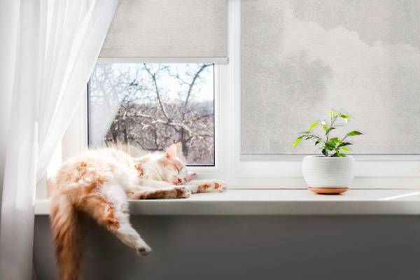 Rolgordijn POLUS kopen | home24