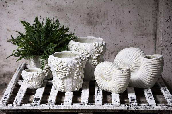 Skulptur SHELLY kaufen | home24