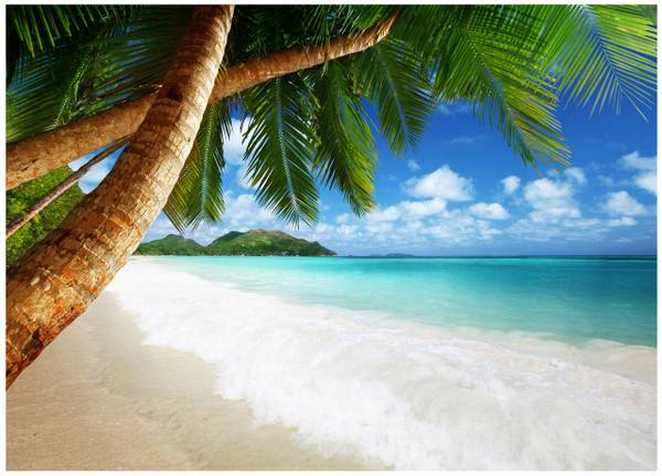 Vlies Fototapete Strand Meer Natur 3D kaufen | home24