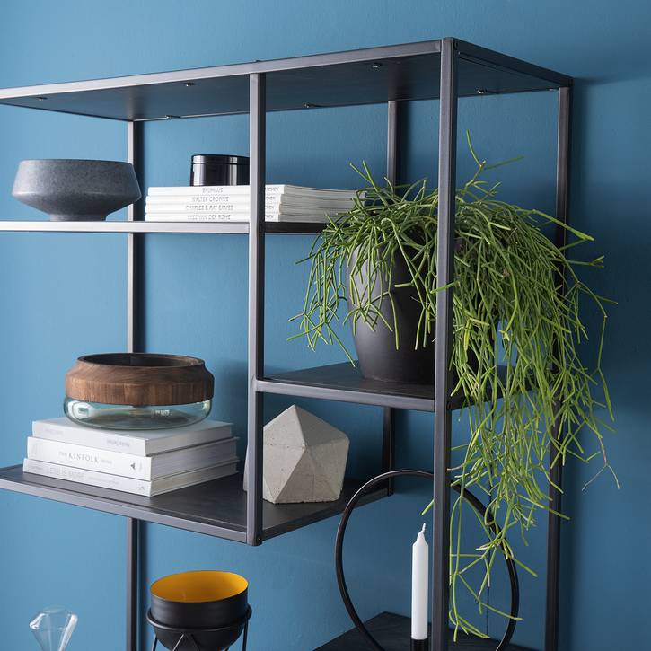 Regal Meon IV kaufen | home24