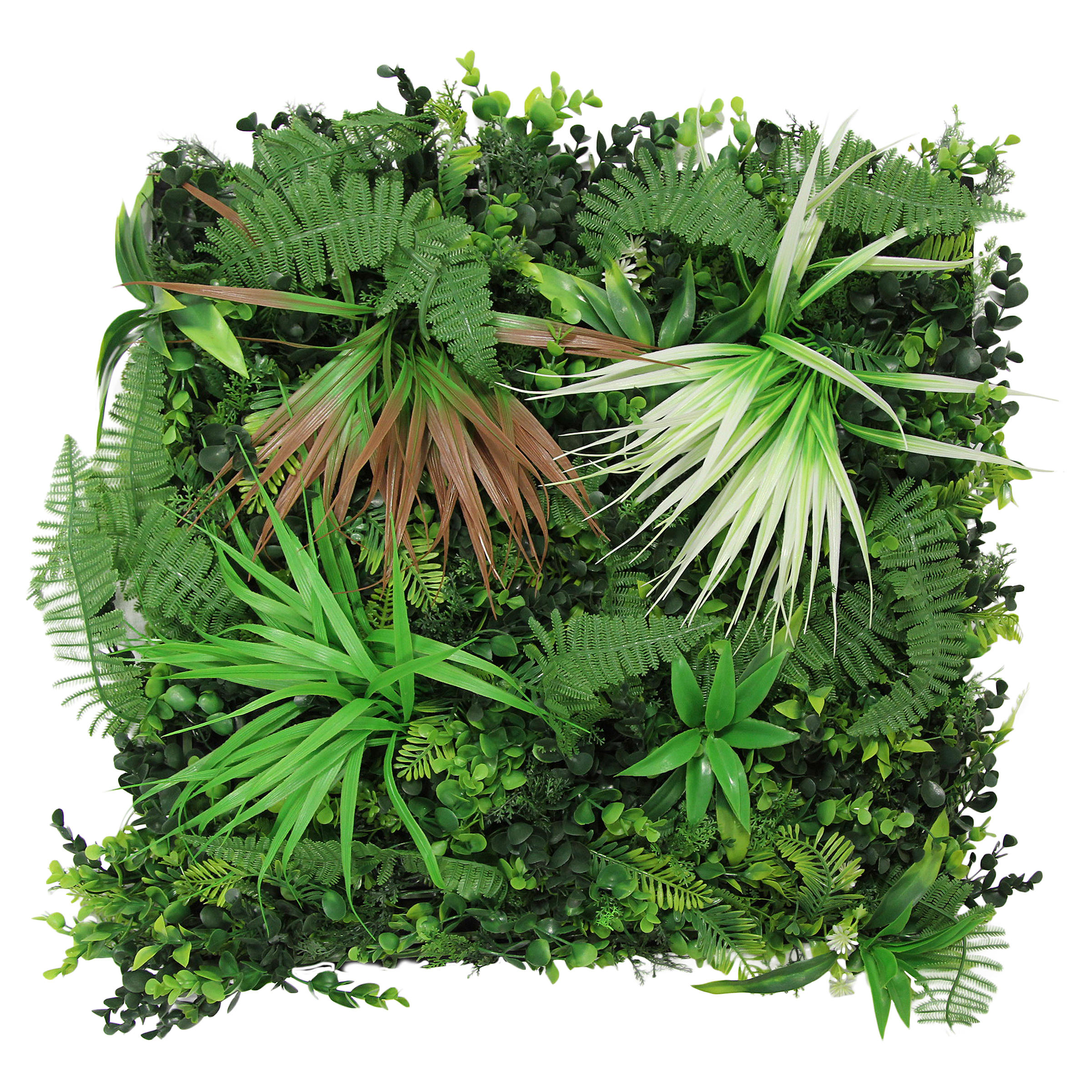 Wandpaneel Ryno - Exotisch kaufen | home24