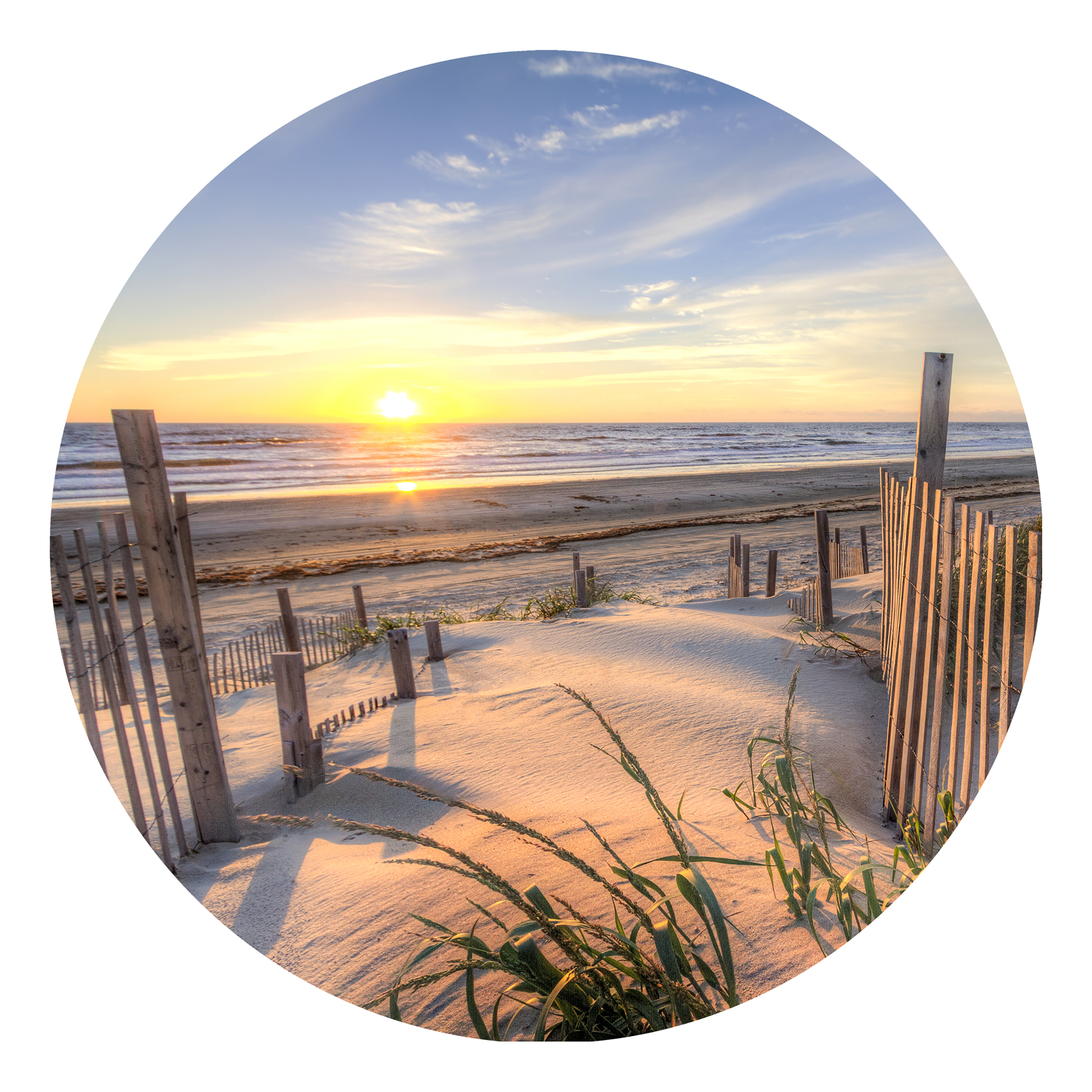 Glazen afbeelding Beachview kopen | home24