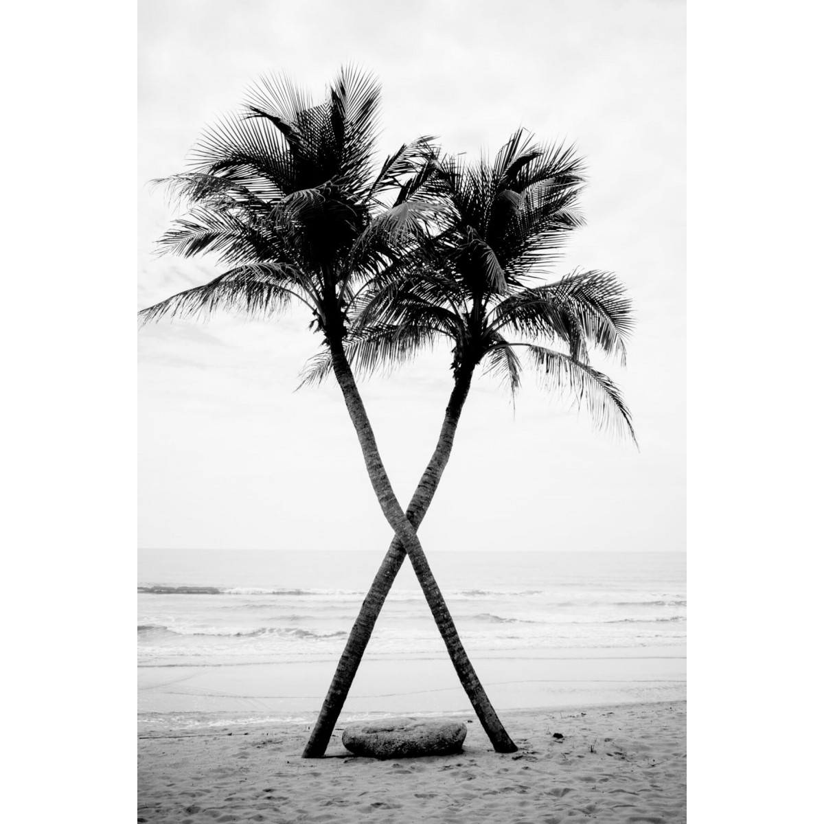 Tableau Mural Palmiers Noir Et Blanc Je Commande Home24 tableau-mural-palmiers-noir-et-blanc-je-commande-home24