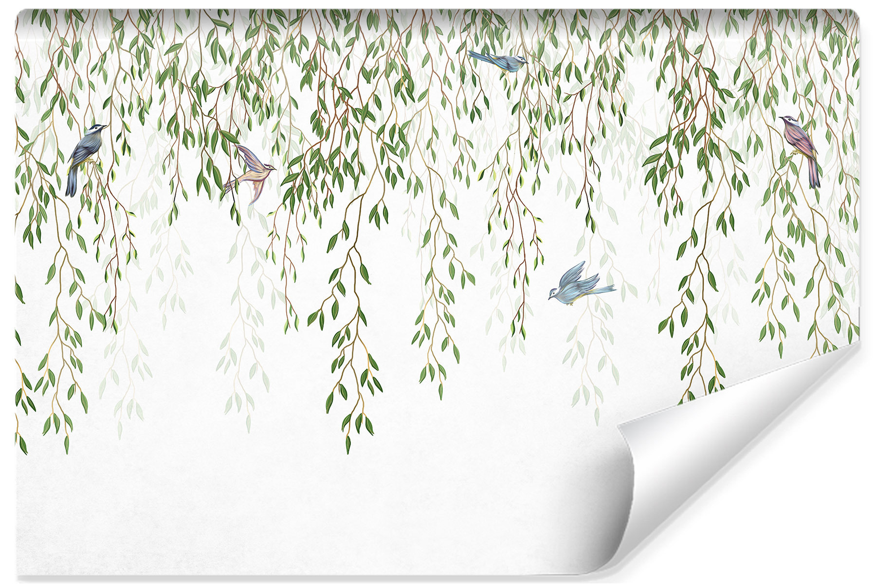 Papier peint Feuilles délicates Oiseaux | Je commande ! | home24