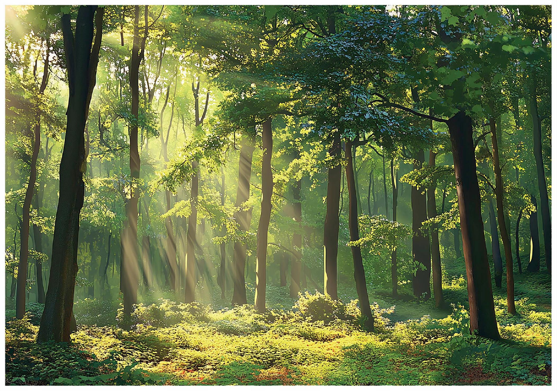 Fototapete Wald Baume Natur Tapete kaufen | home24