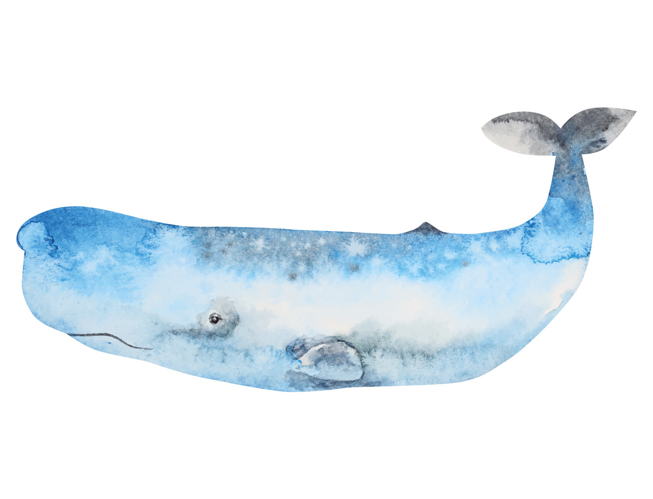 Wandtattoo Aquarell Wal Unterwasserwelt kaufen | home24