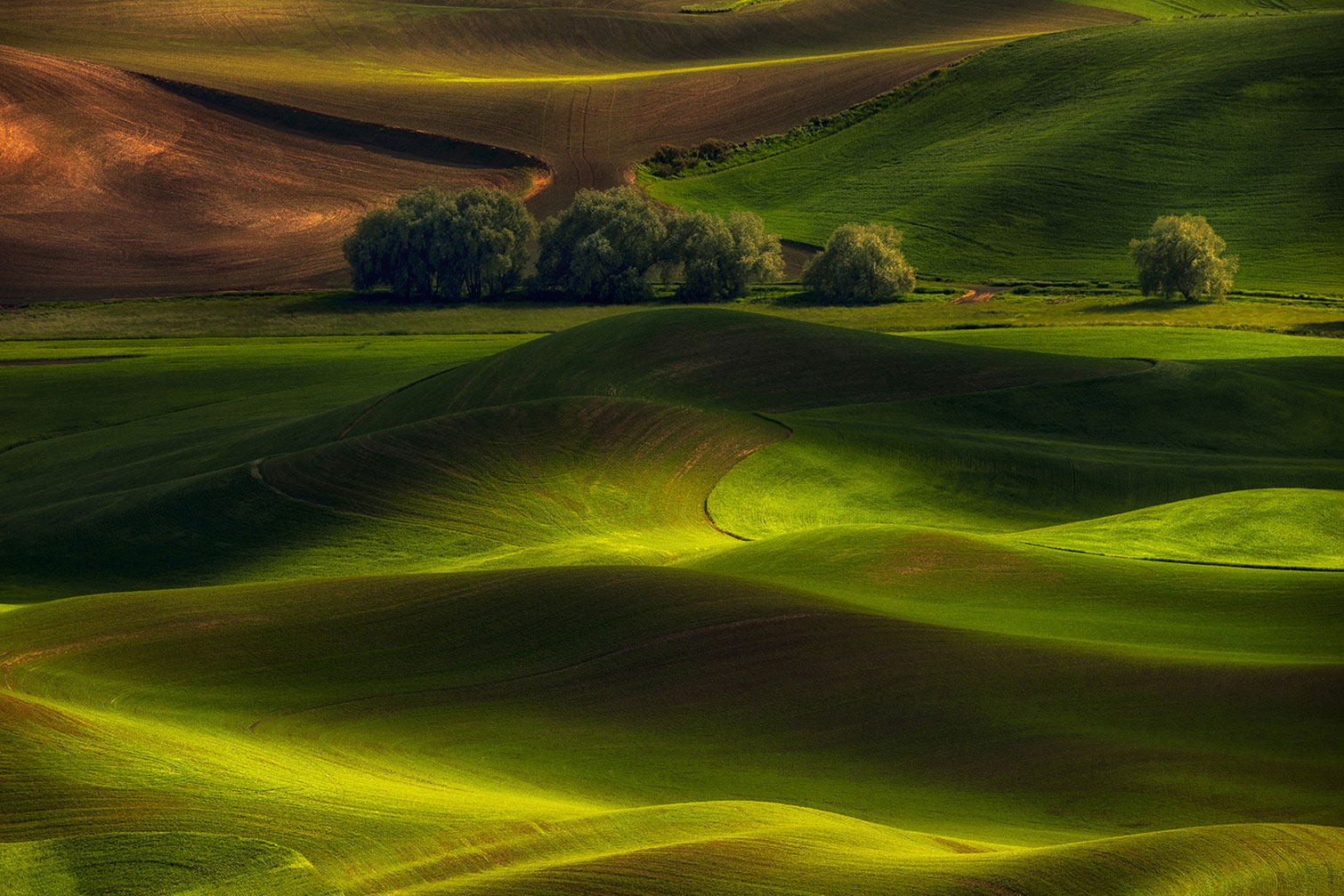 Tableau Colline UsA | Je commande ! | home24