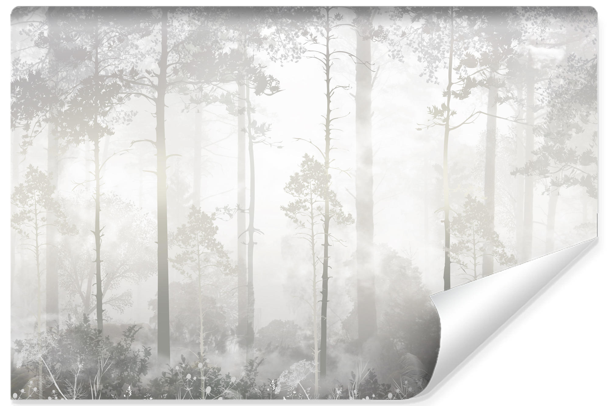 Fototapete WALD IM NEBEL Bäume Vintage kaufen | home24