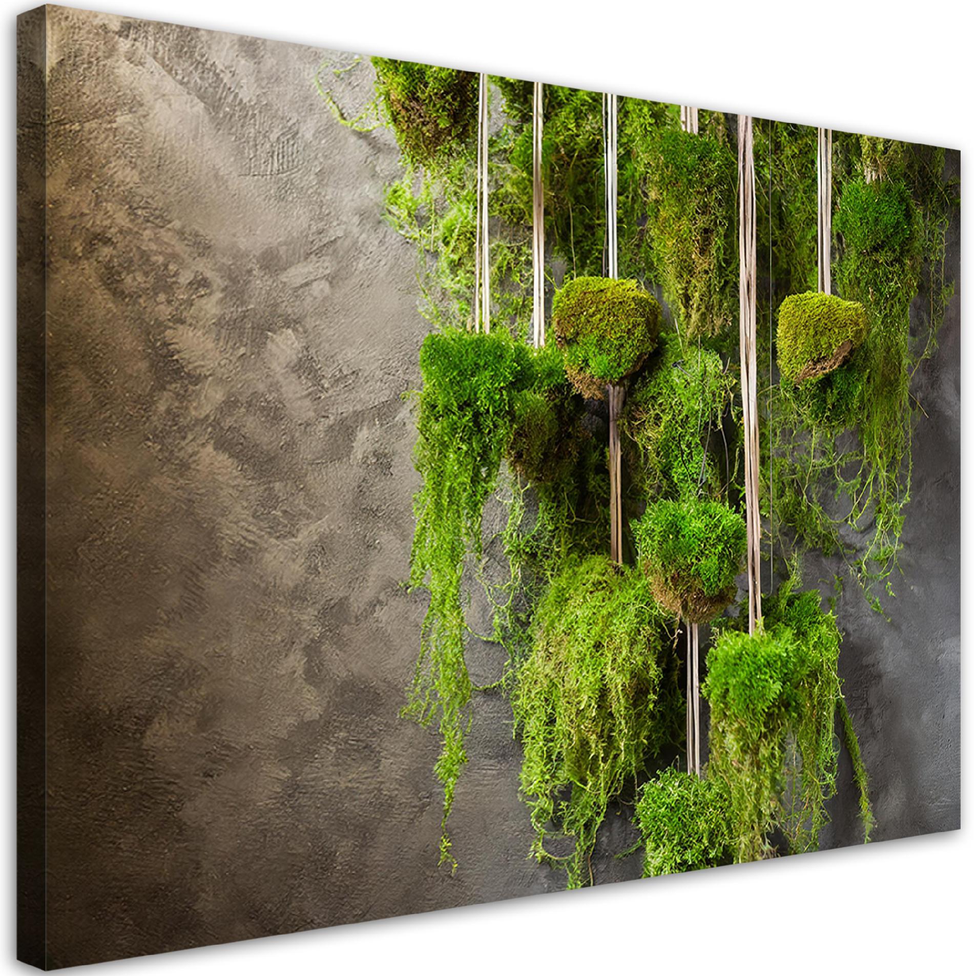 Wandbild botanik pflanzen moos kaufen | home24