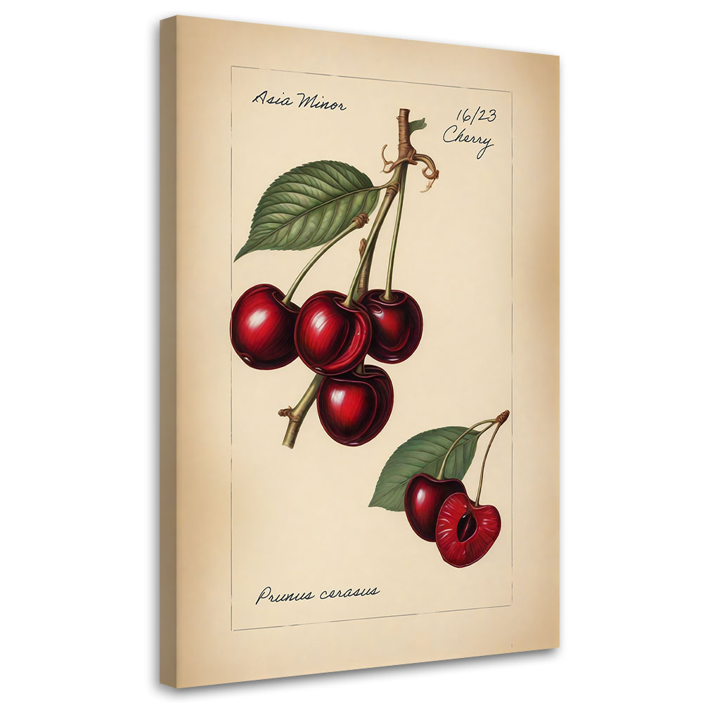 Wandbild vintage-früchte kirsche kaufen | home24