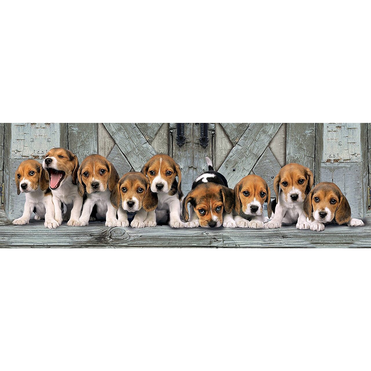 Puzzle Beagles 1000 Teile kaufen | home24