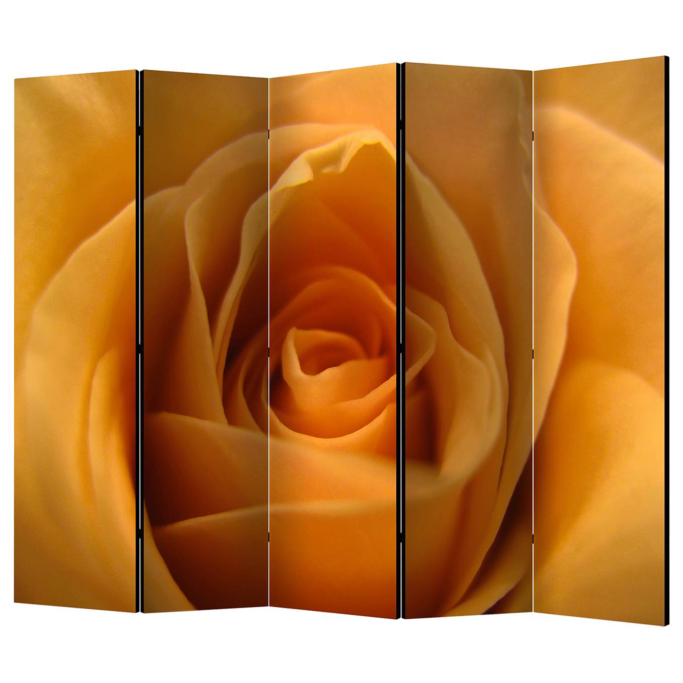 Paravent Yellow Rose (5-teilig) kaufen | home24