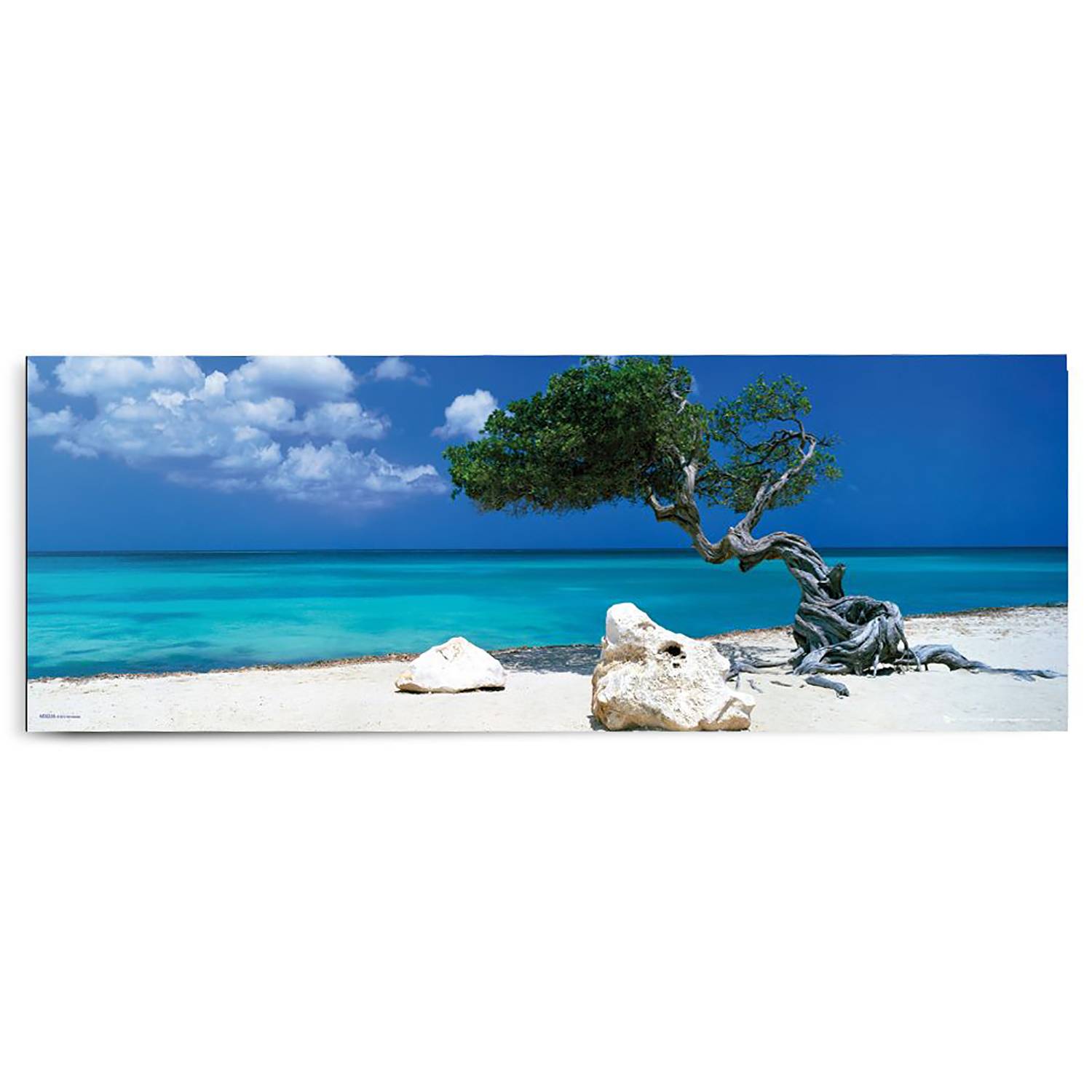 Wandbild Divi Divi Baum kaufen | home24