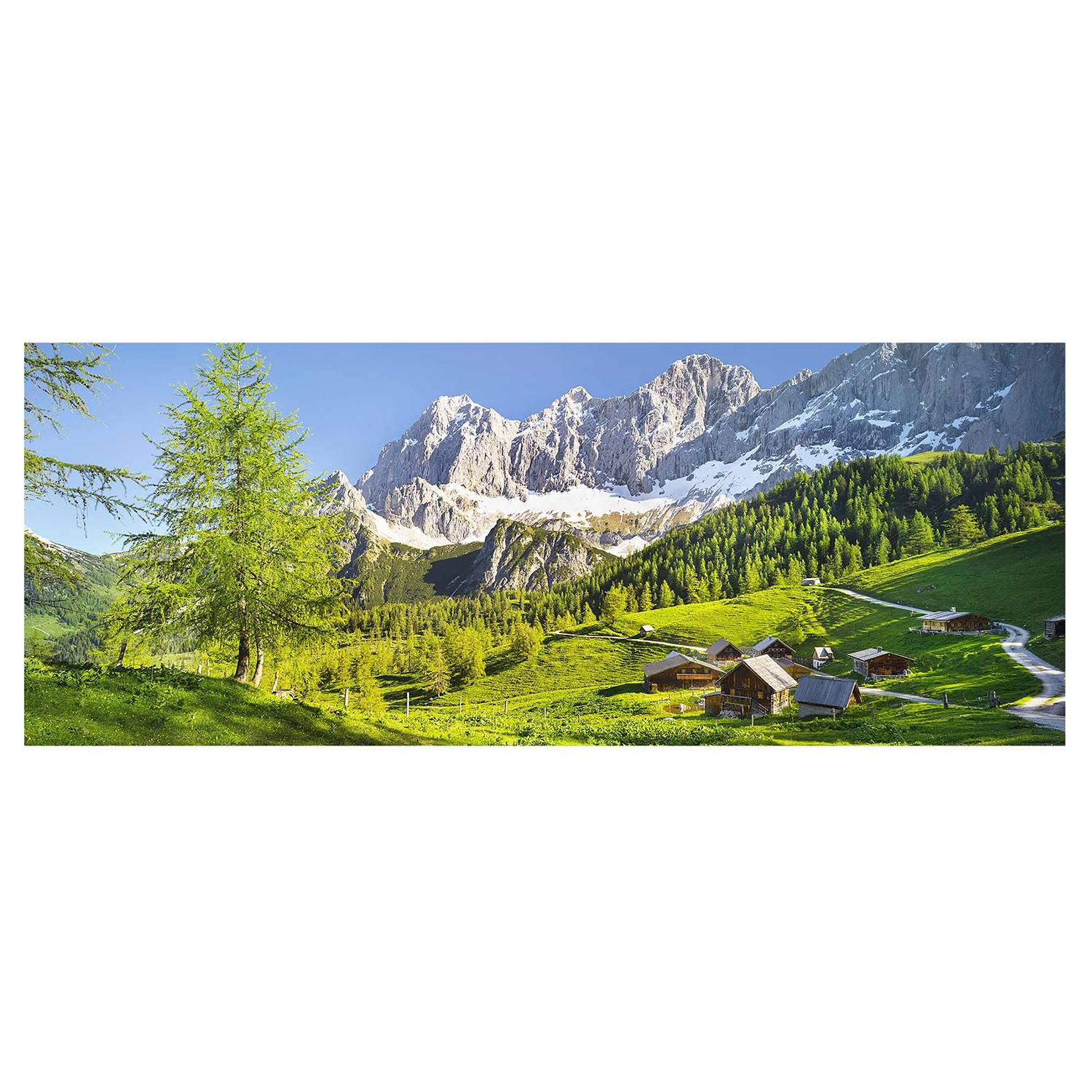 Glazen afbeelding Steiermark Alpenweide kopen | home24