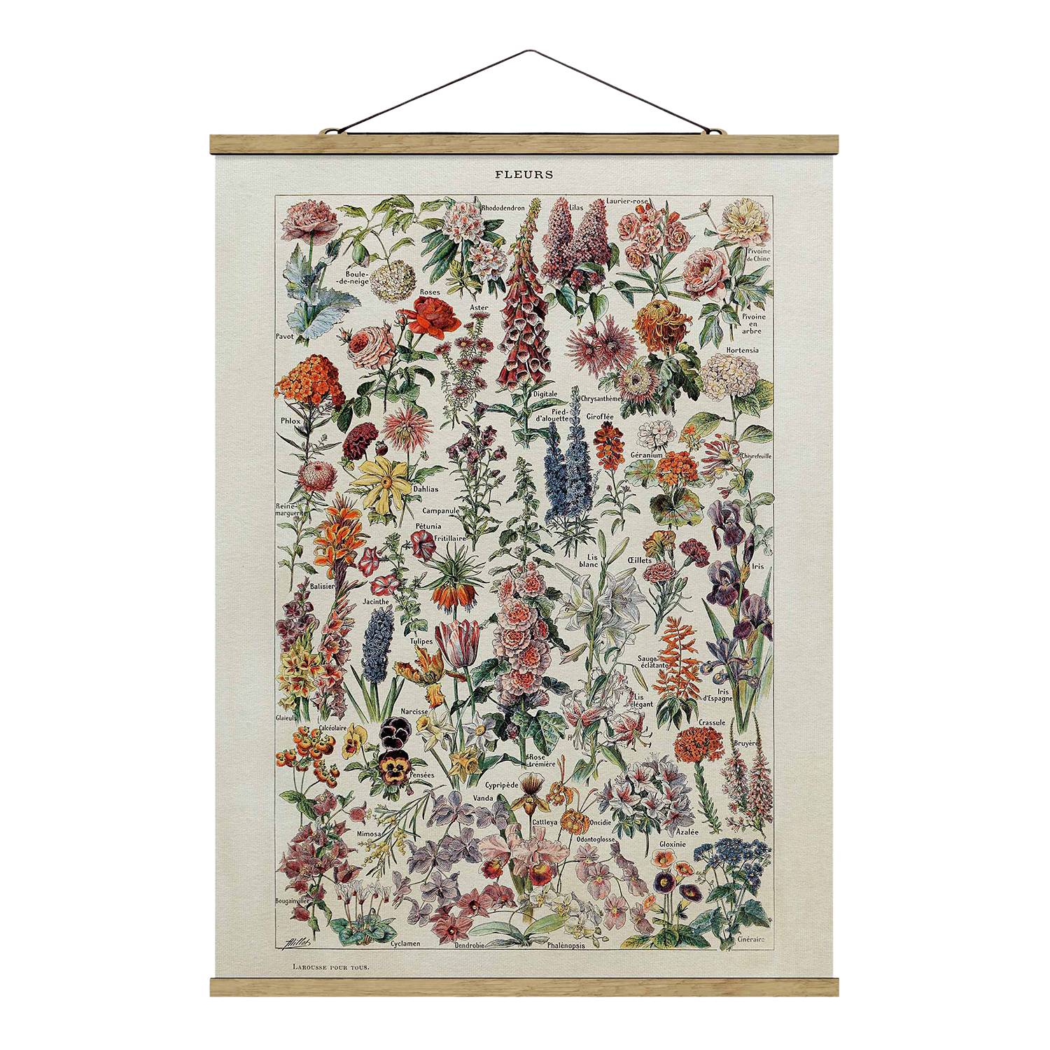 Tableau déco Vintage Botanique Fleurs V | Je commande ! | home24