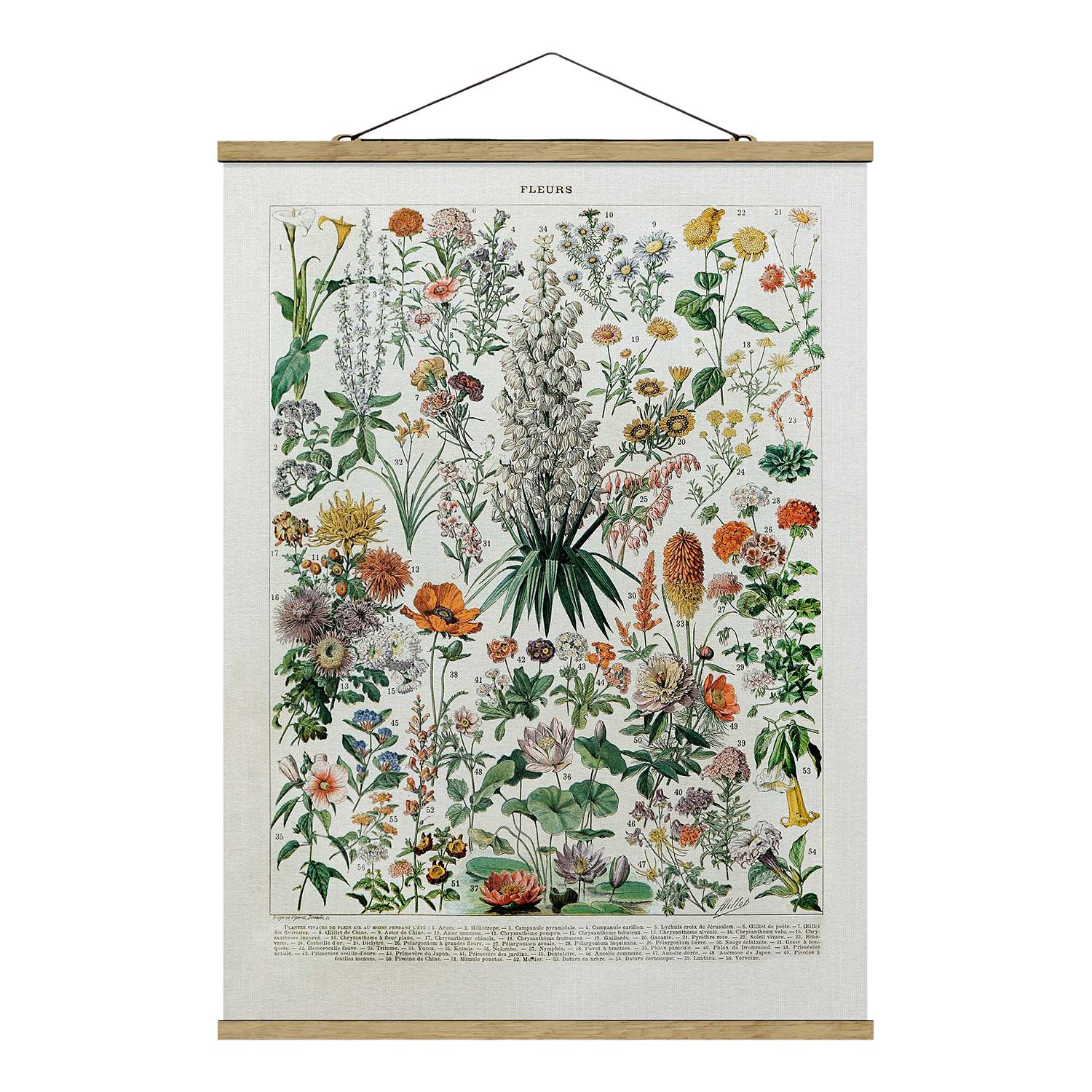 Tableau déco Vintage Botanique Fleurs I | Je commande ! | home24