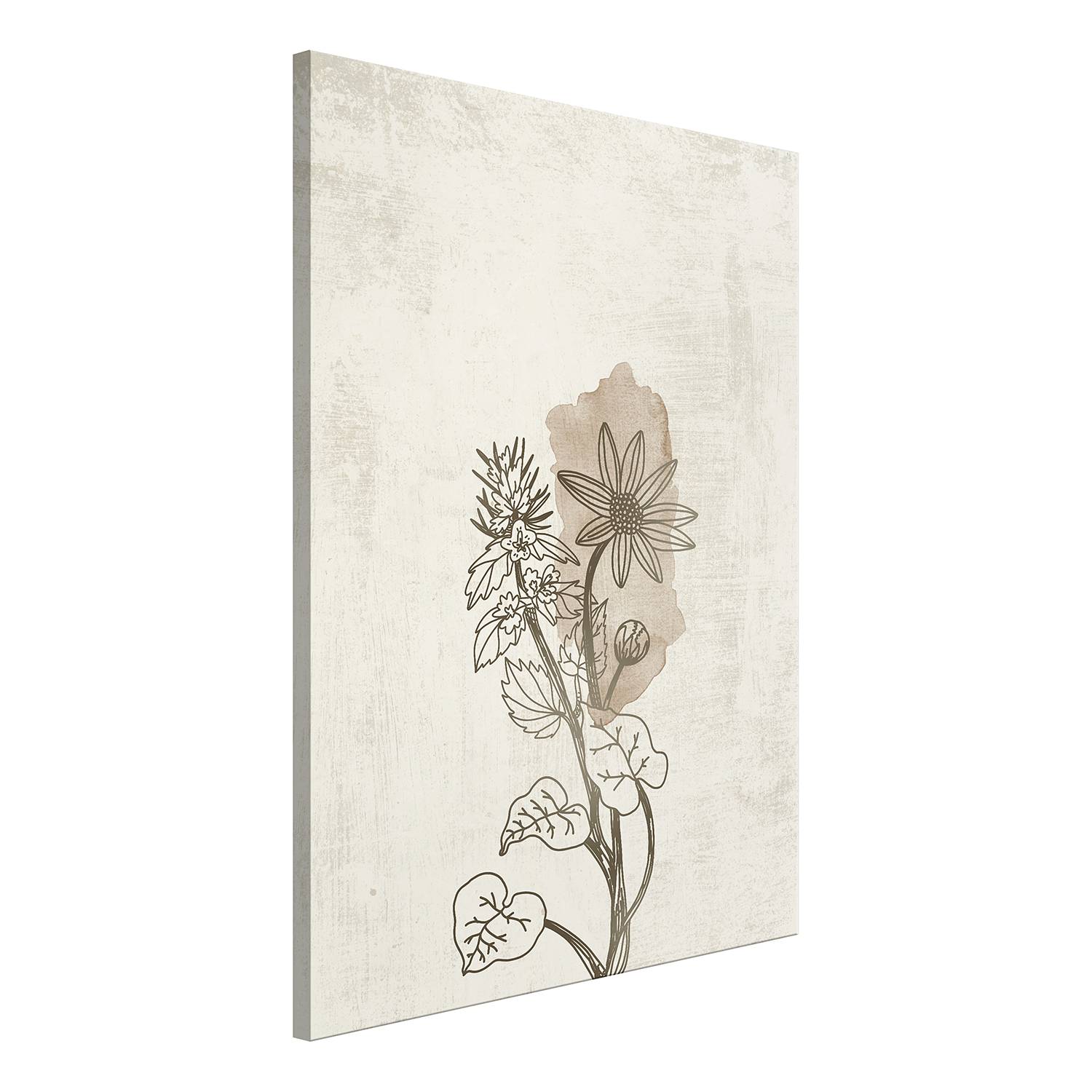 Quadro Outline of Nature – Acquista online | home24