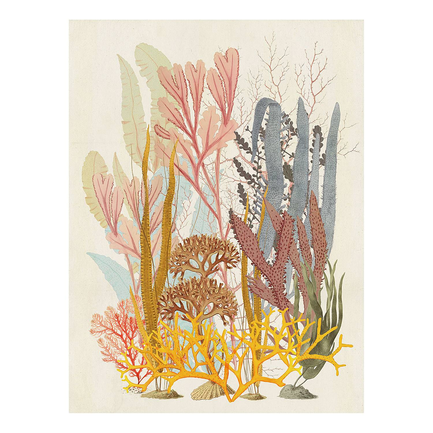 Impression sur toile Coral Aqua | Je commande ! | home24