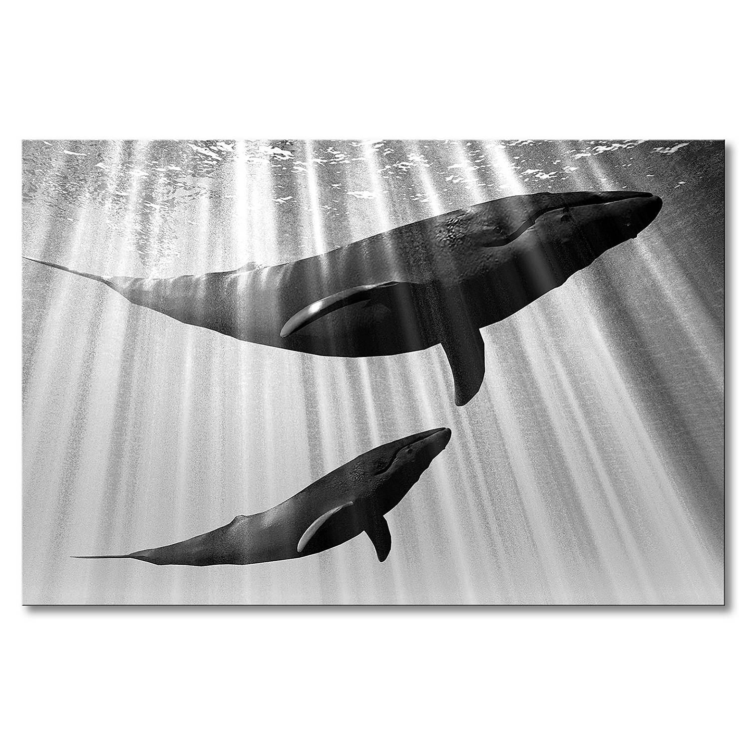 Impression sur toile Whales | Je commande ! | home24