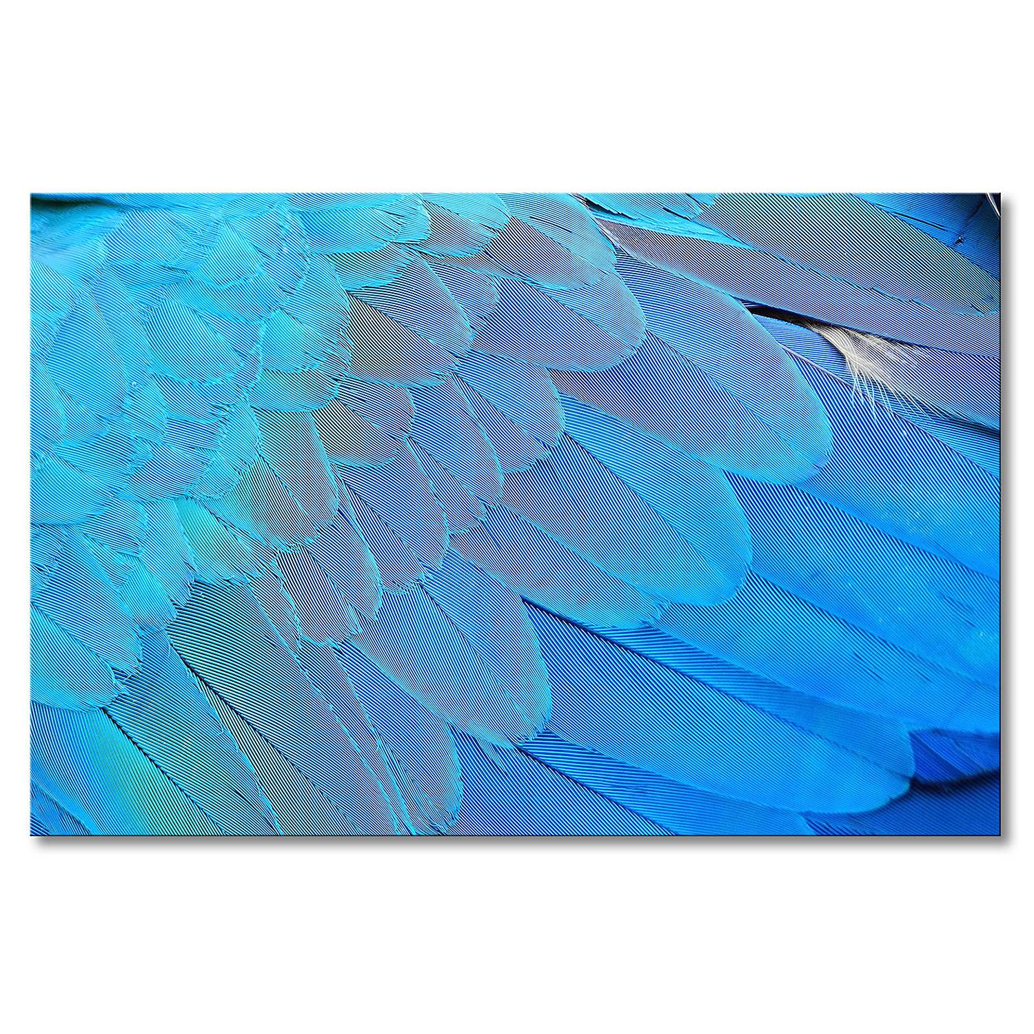 Impression sur toile Bird Feathers | Je commande ! | home24