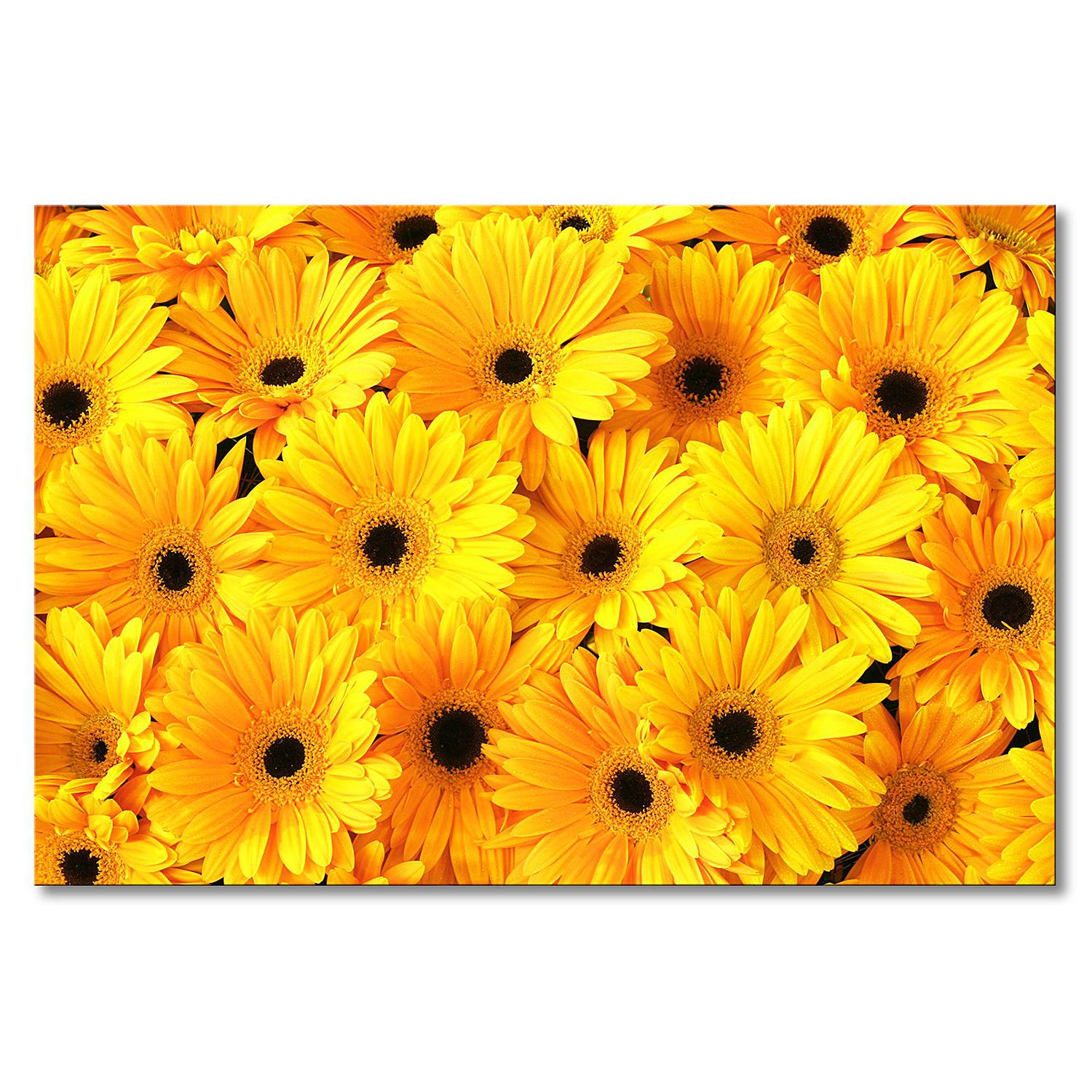 Impression sur toile Sunny Mood | Je commande ! | home24