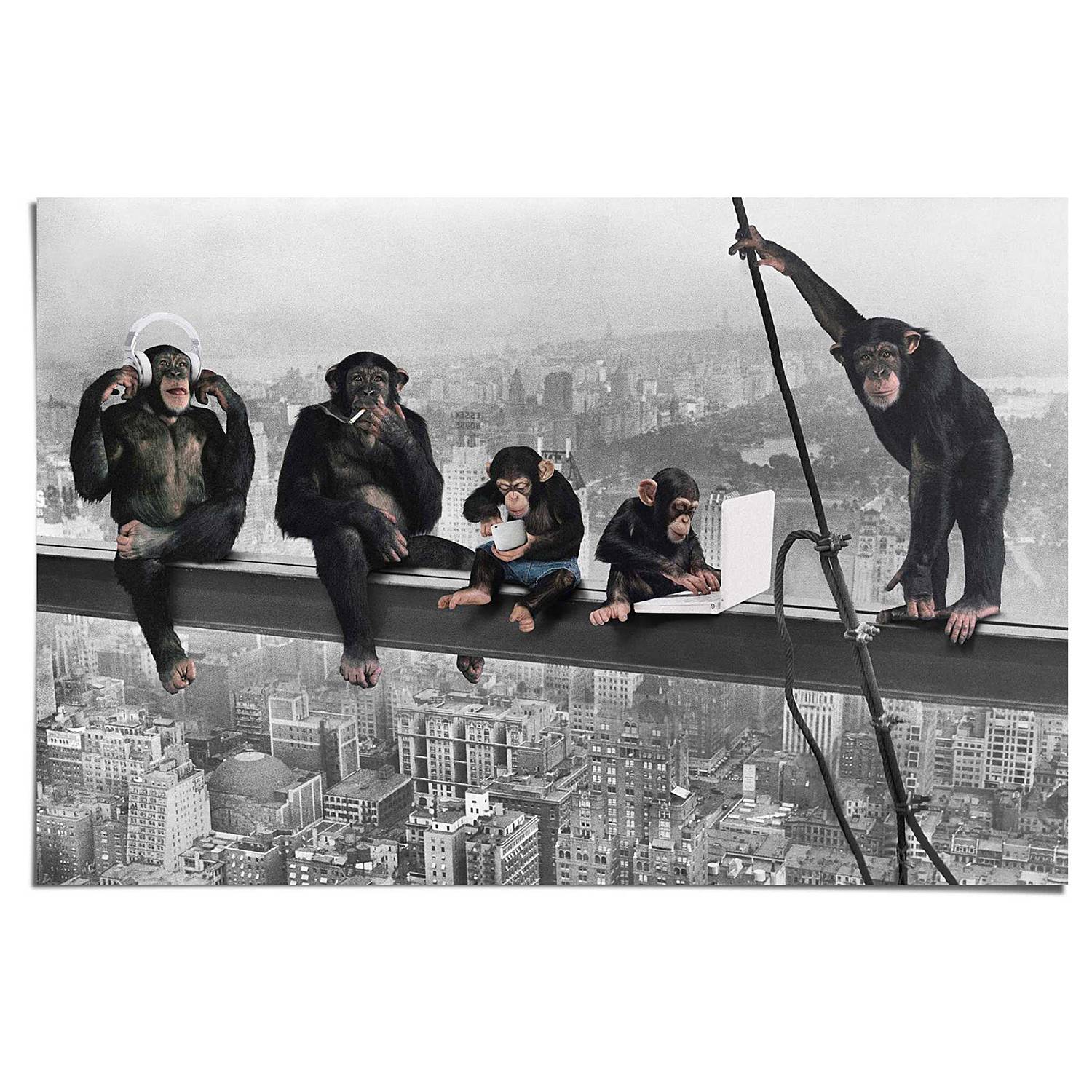 Poster Chimp Girder – Acquista online | home24