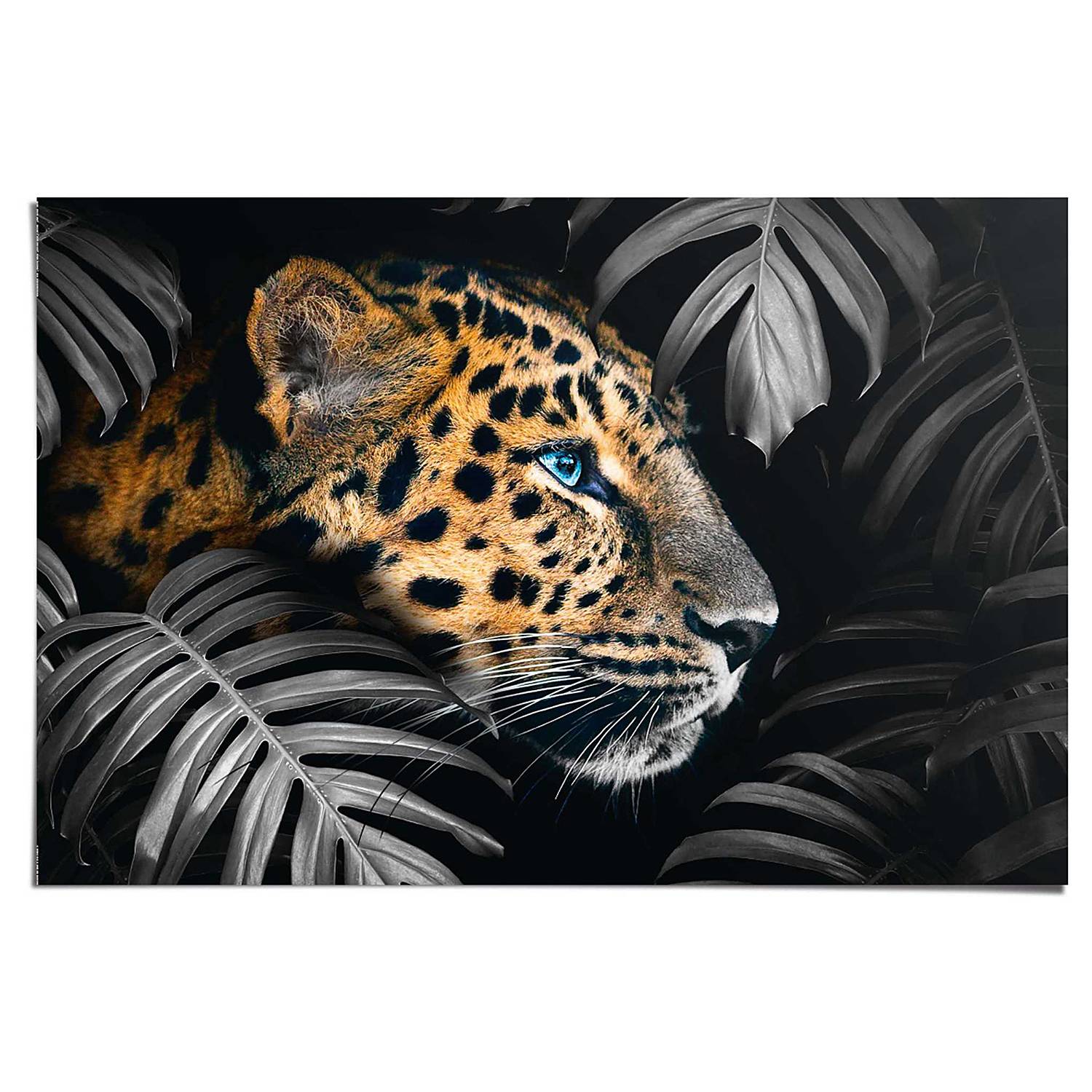 Poster Leopard | Je commande ! | home24