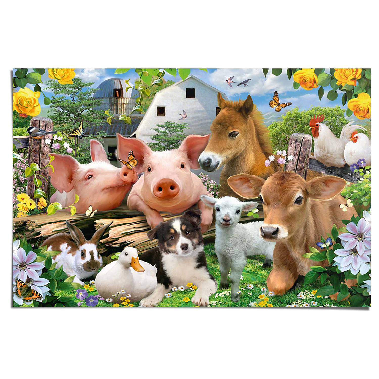 Poster Animali – Acquista online | home24