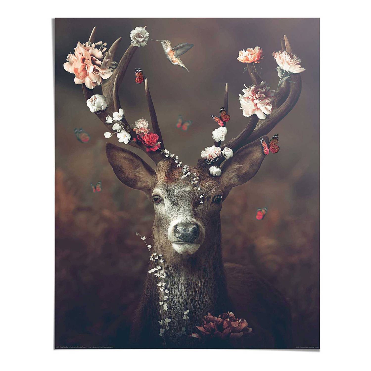 Poster Fauna Flora Deer kaufen | home24
