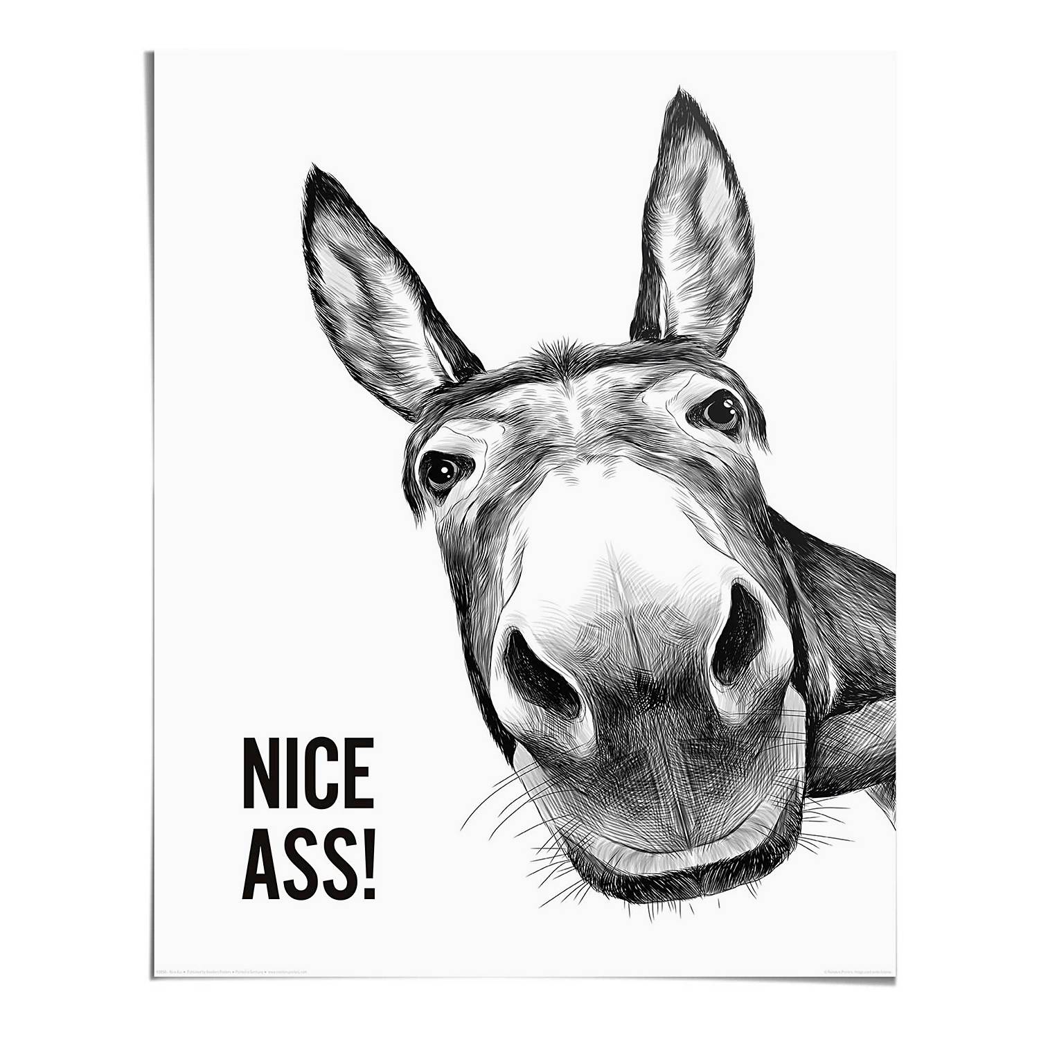 Poster Nice Ass kaufen | home24