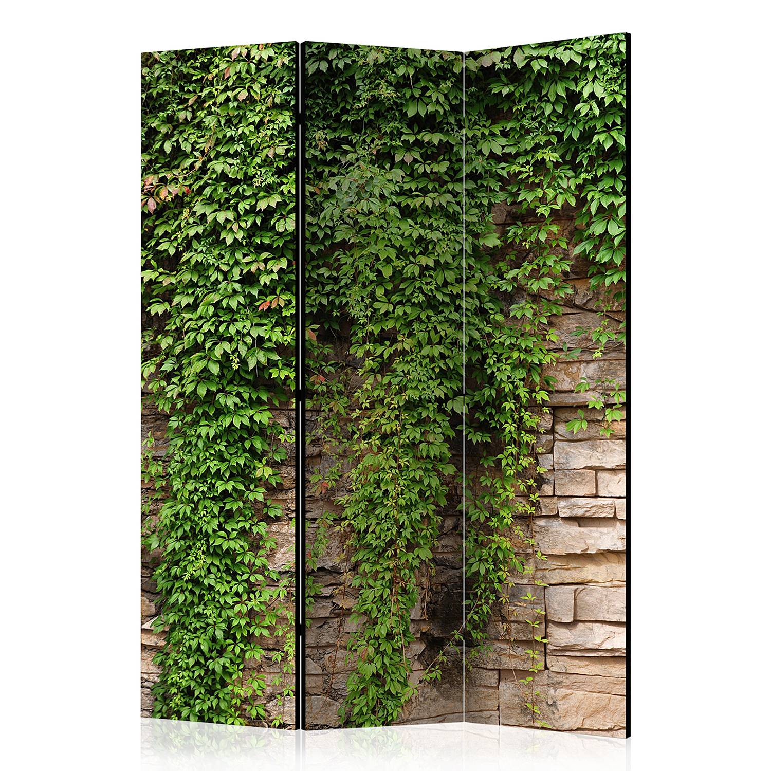Paravent Mur de lierre 1 côté | Je commande ! | home24