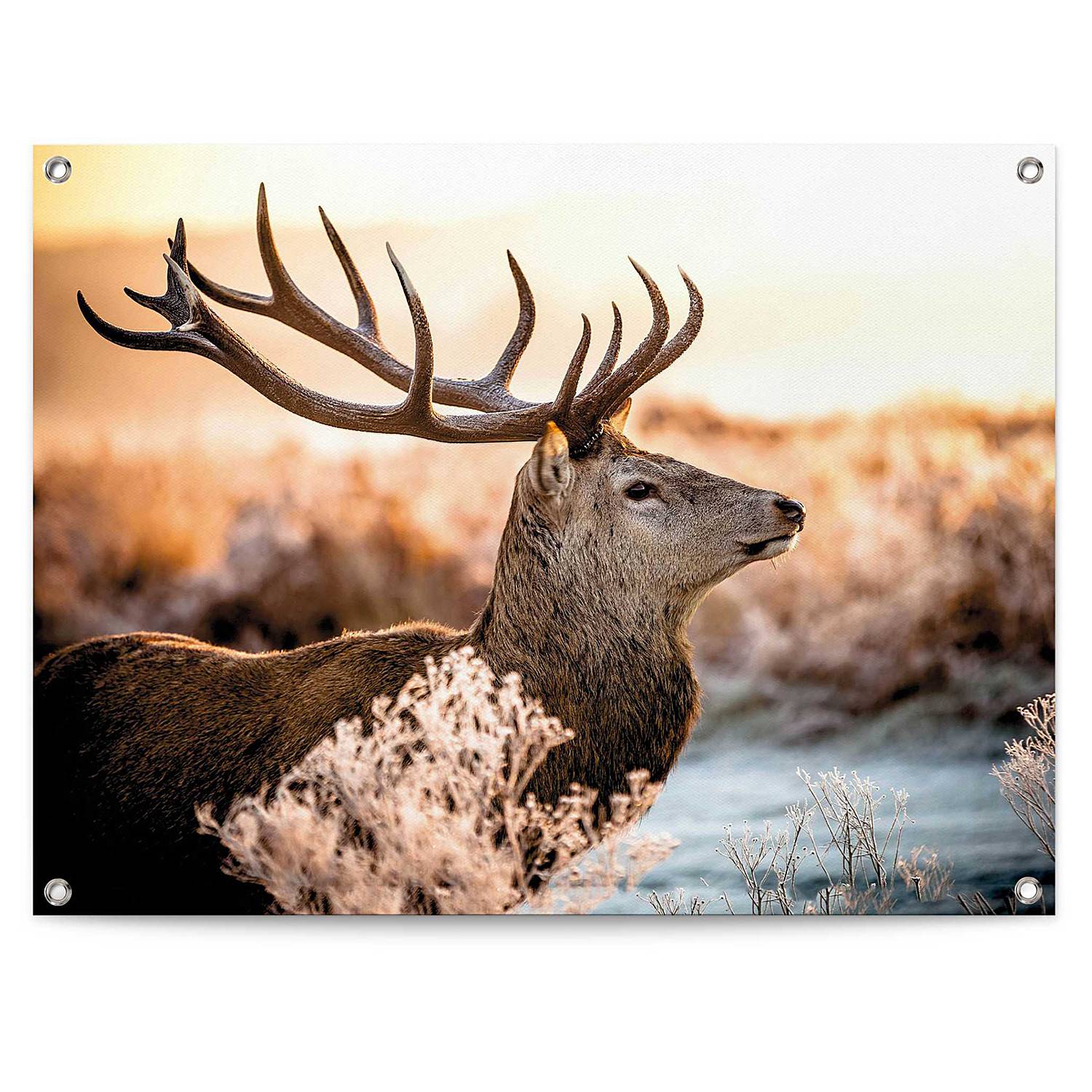 Outdoor-poster Hert kopen | home24