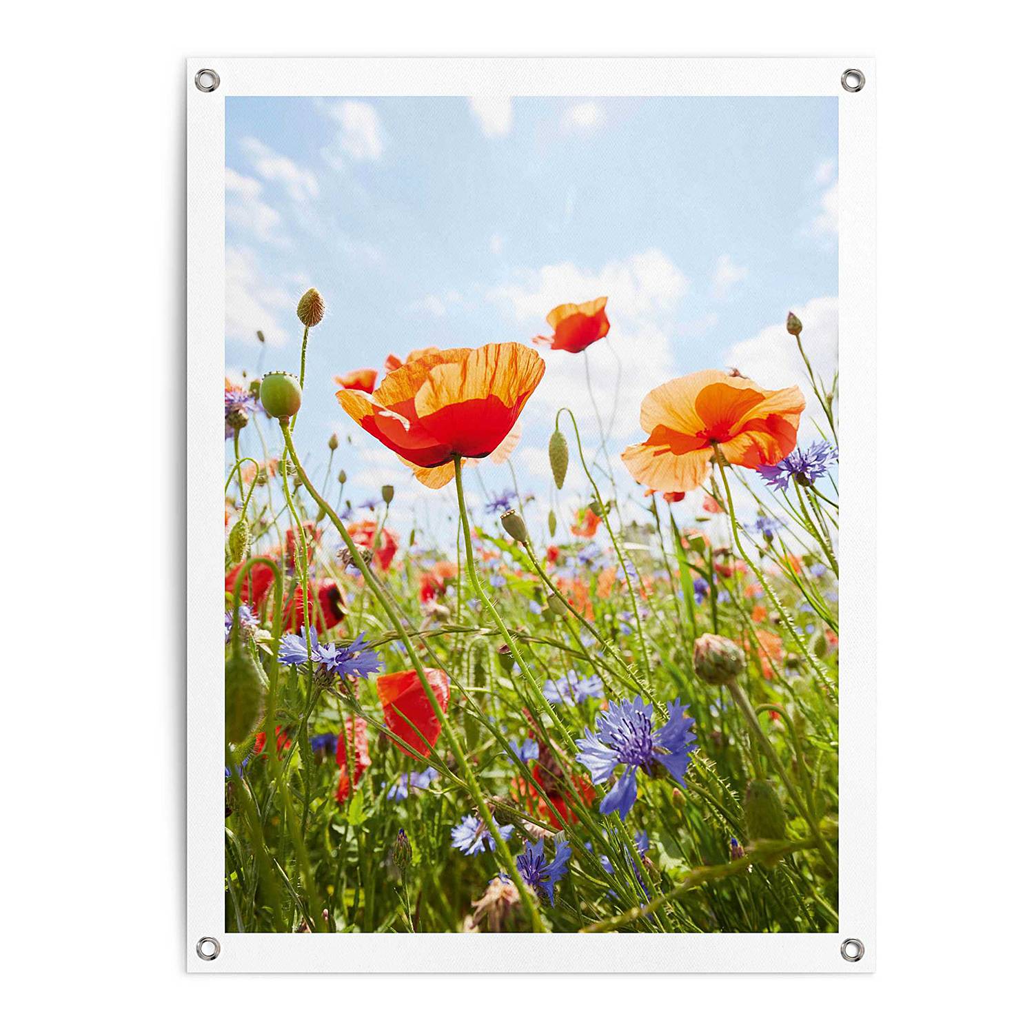 Impression sur PVC Champ de fleurs | Je commande ! | home24