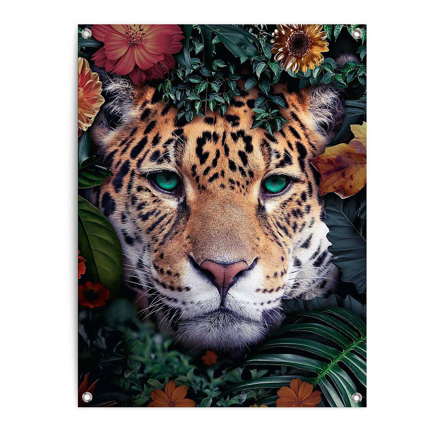 Outdoor-Poster Leopard kaufen | home24