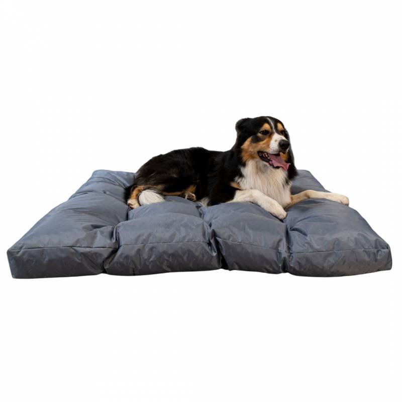 Hundekorb BANADOG kaufen | home24