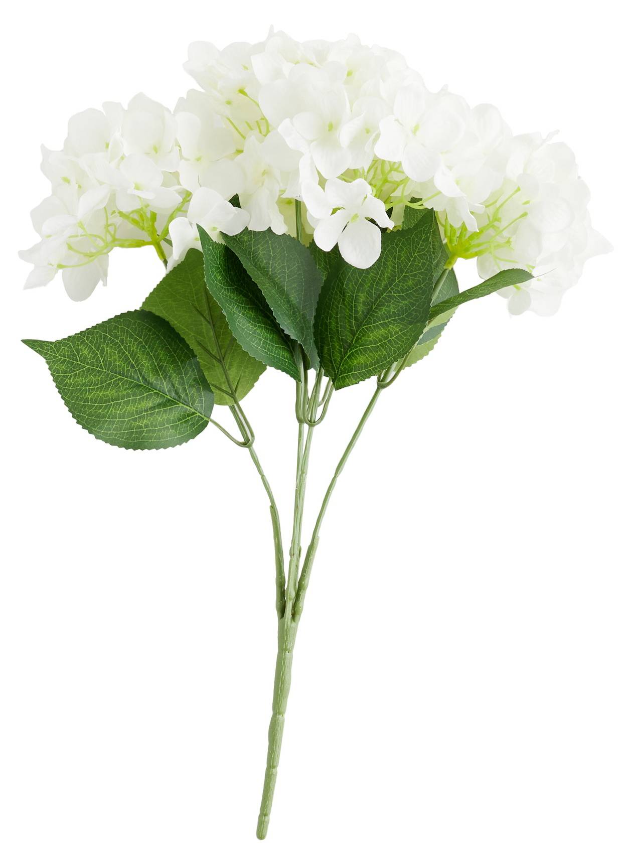 Blumenstrauß Hortensio kaufen | home24