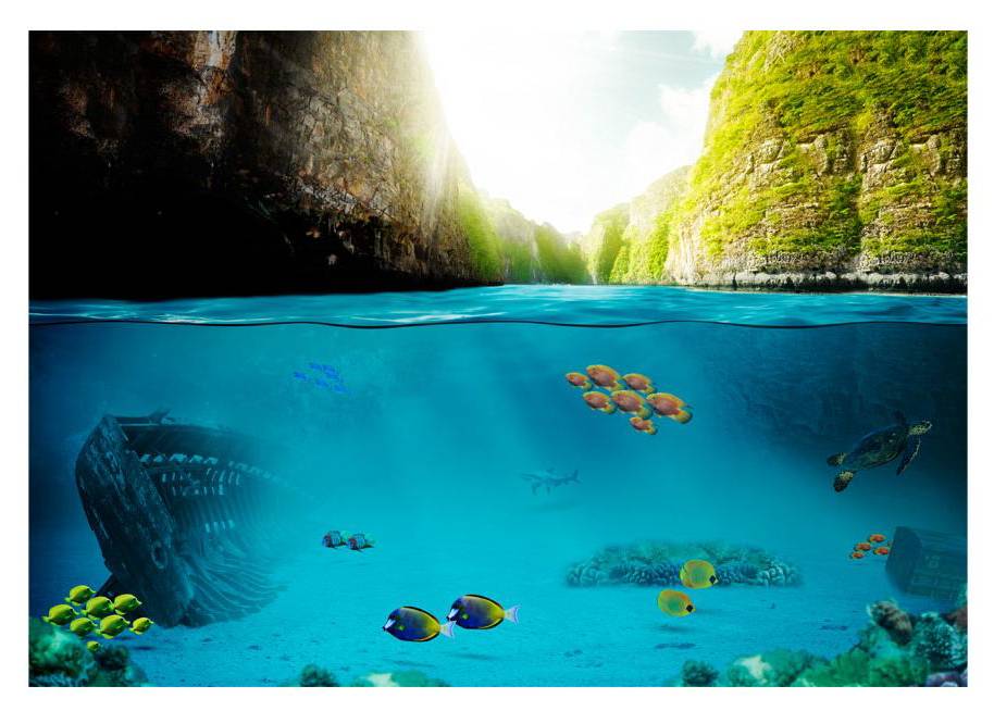 Vliestapete Tier Bor kaufen | home24