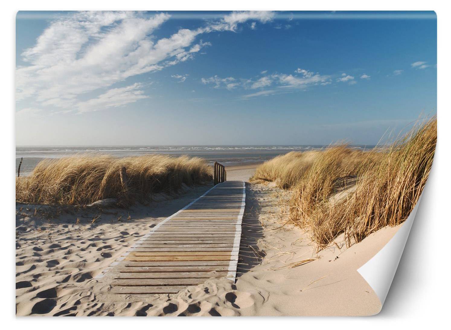 Fototapete Meer Strand Landschaft kaufen | home24