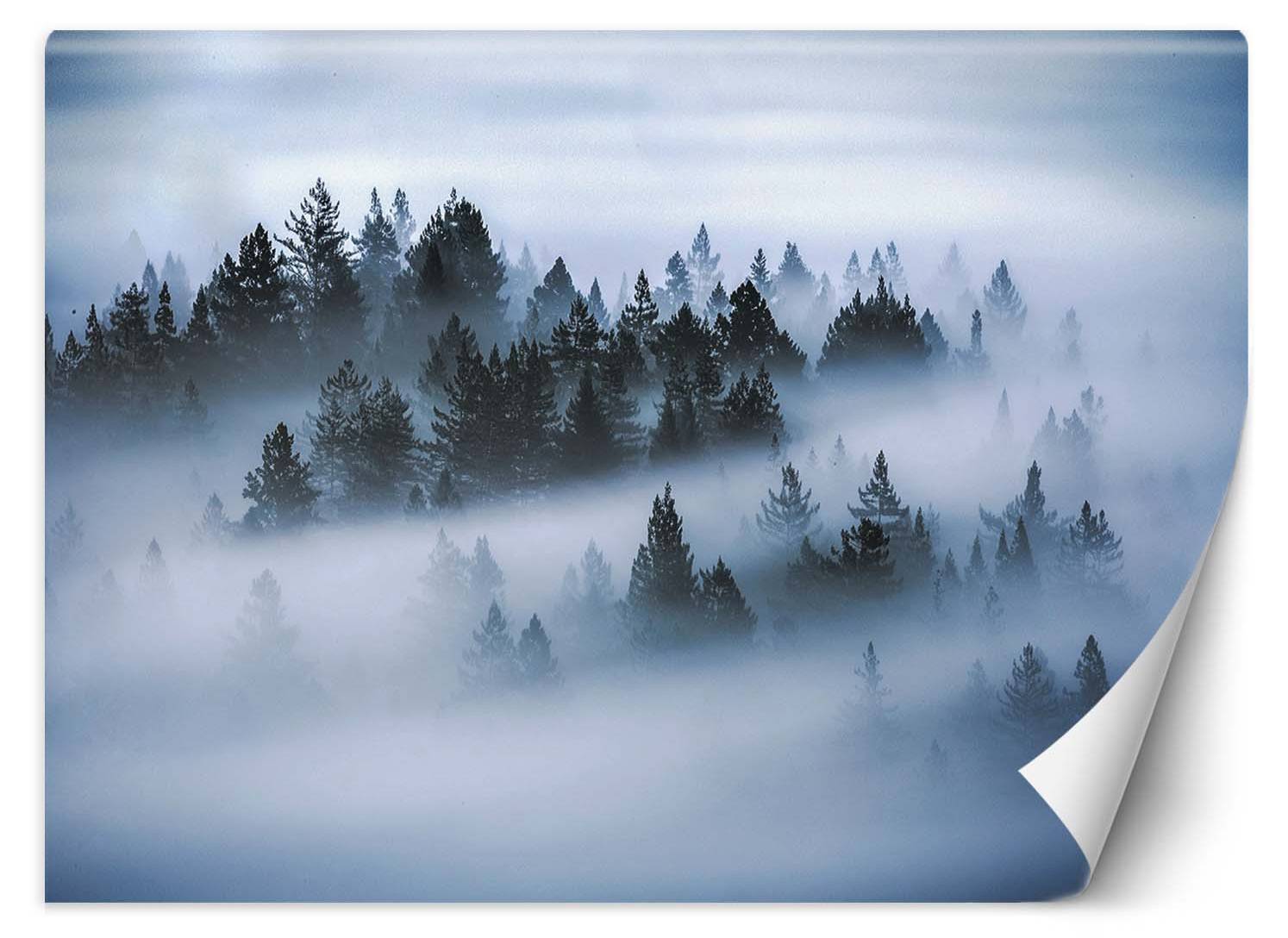 Wunderbar Fototapete Wald Nebel Ebenbild