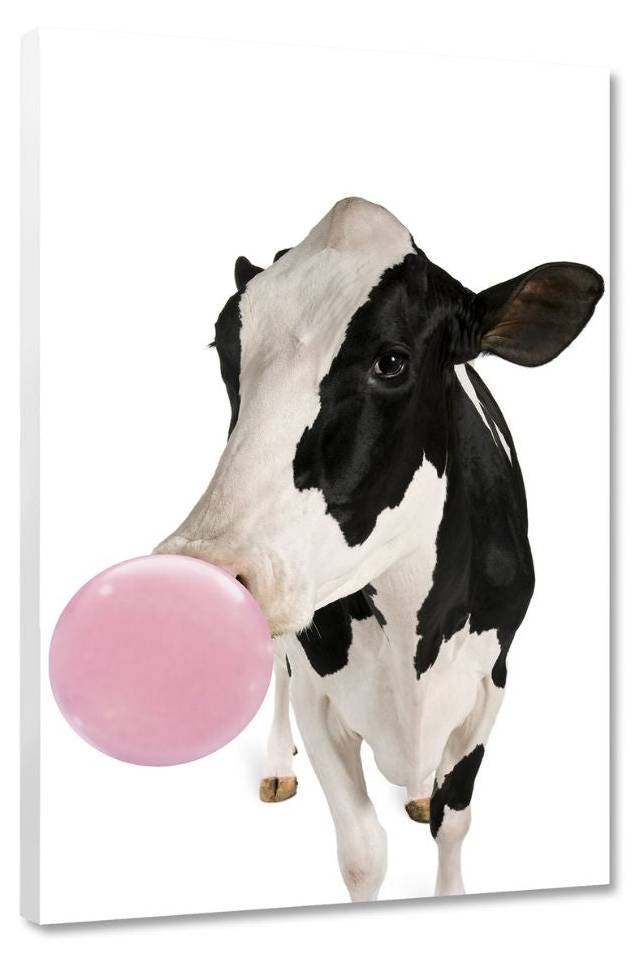 Leinwandbild Cow Gum kaufen | home24