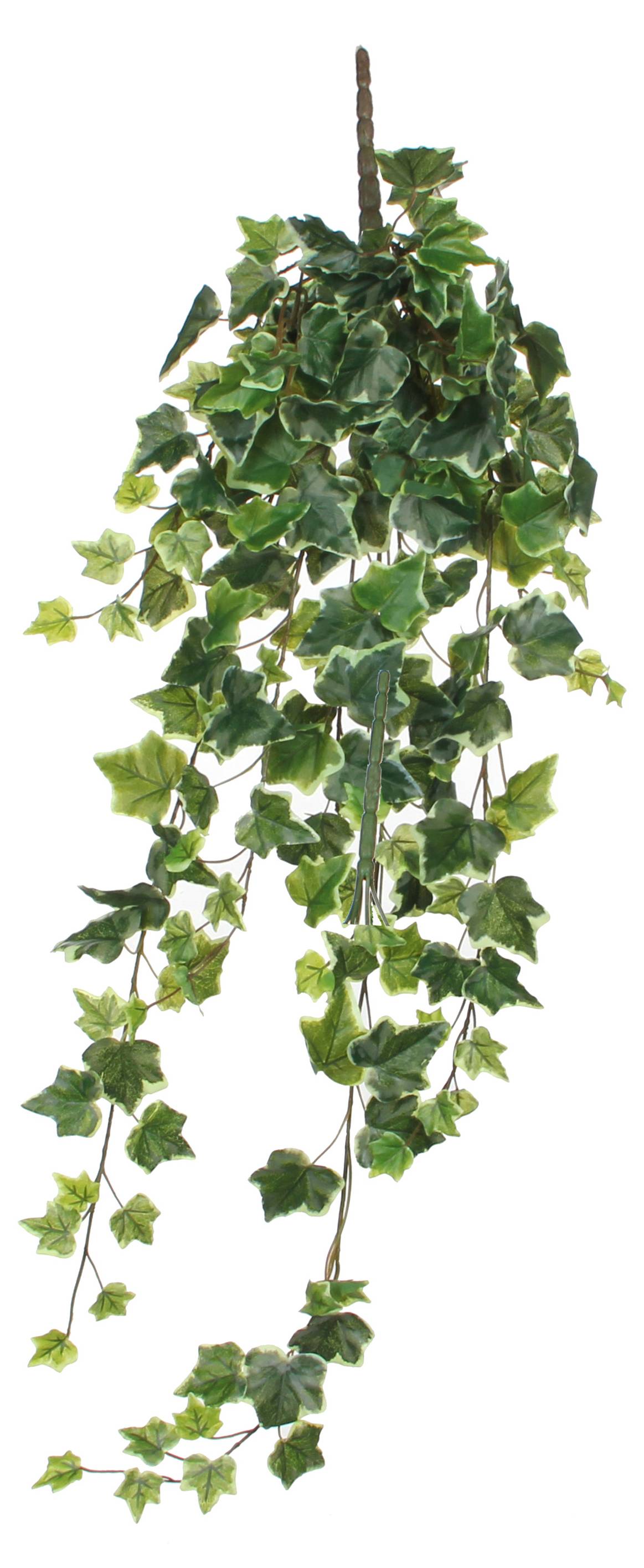 Künstliche Hängepflanze Efeu kaufen | home24