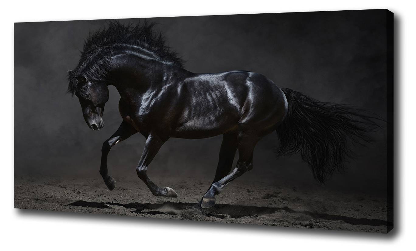 Wandbild Schwarzes Pferd kaufen | home24