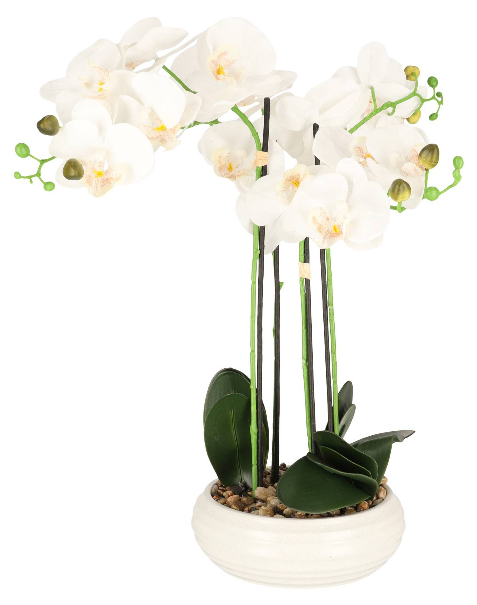 Herzstück Orchidia kaufen | home24