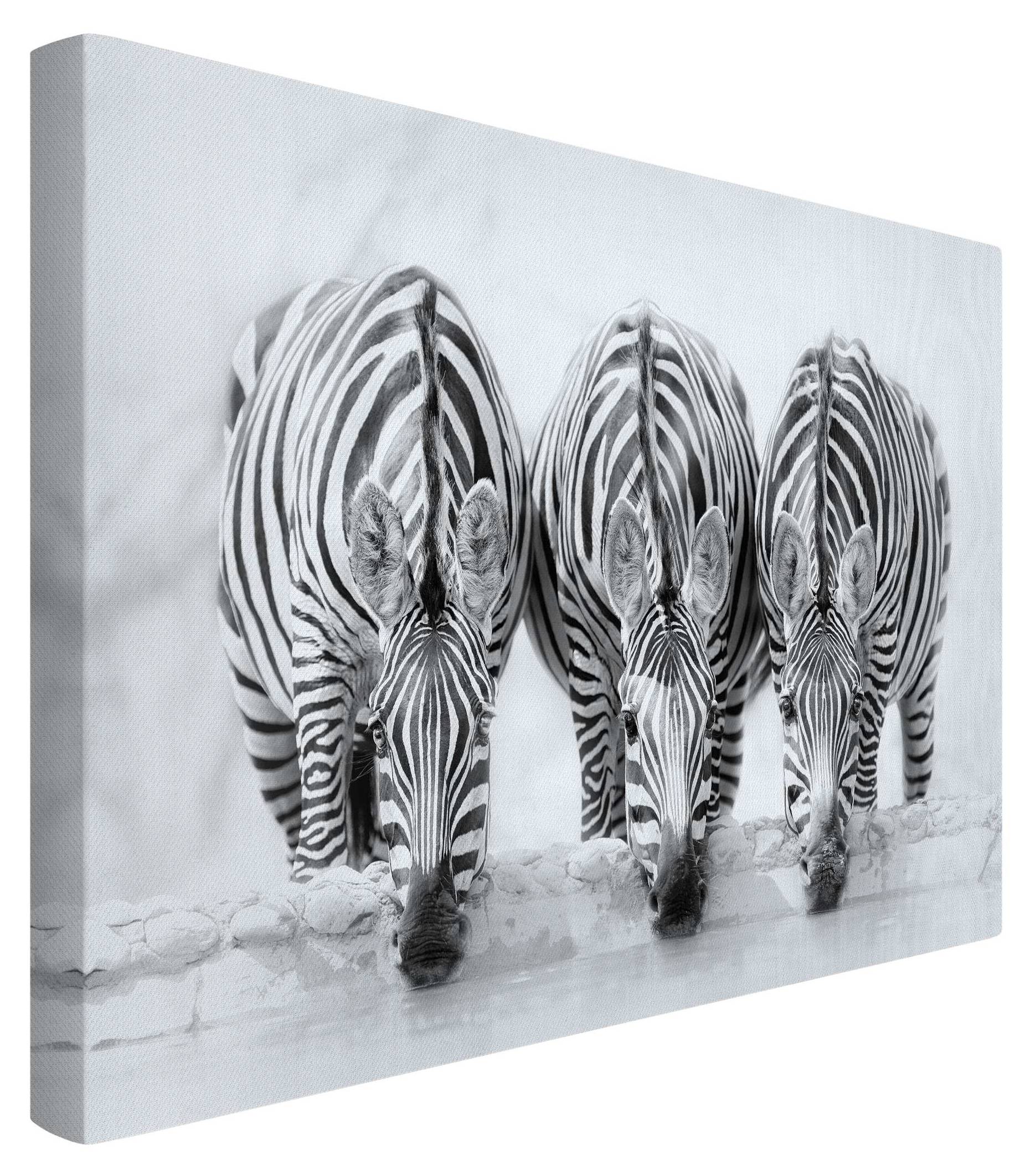 Akustikbild Zebra Trio kaufen | home24