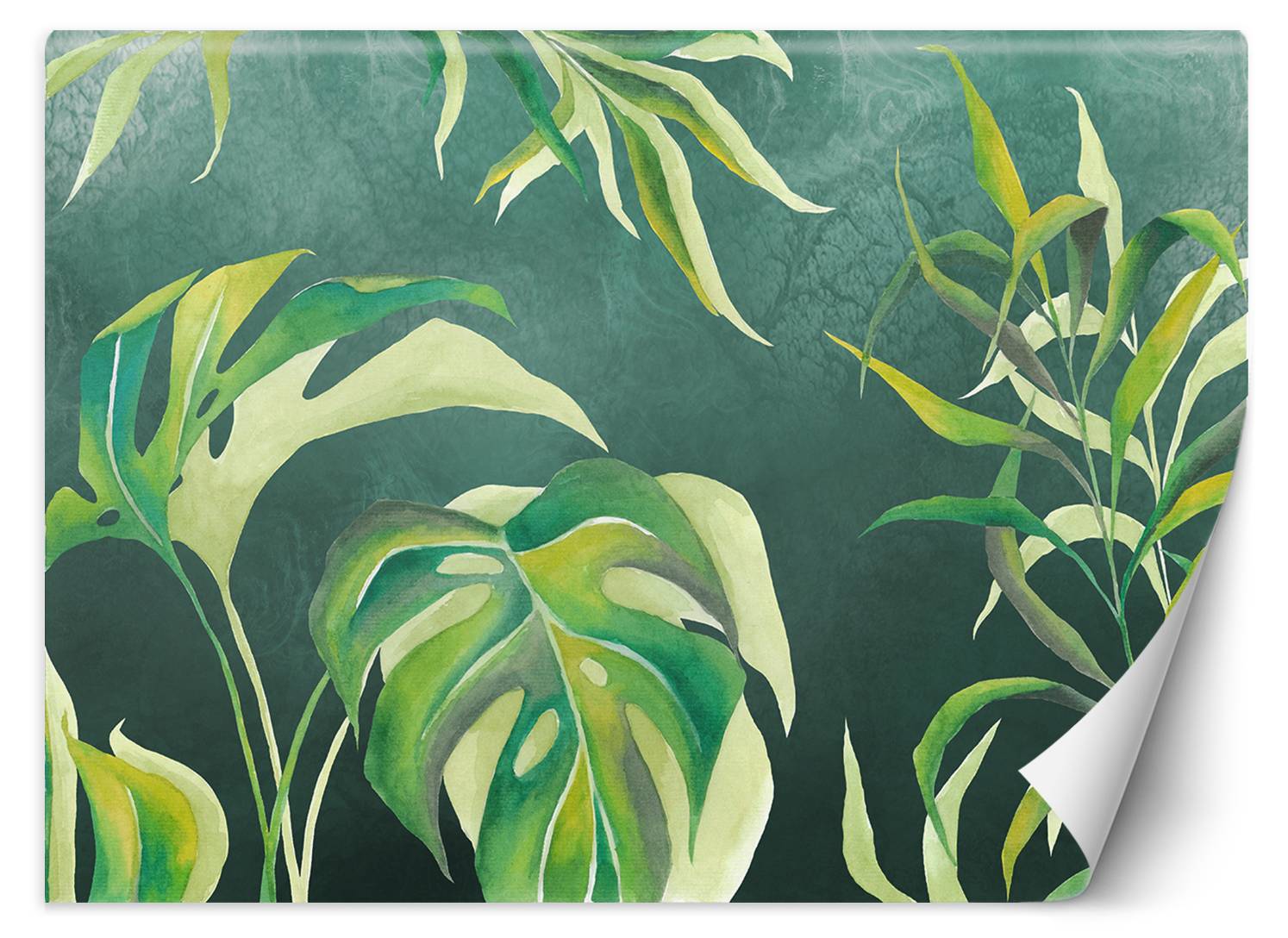 Fototapete Monstera Blatt Pflanzen kaufen | home24