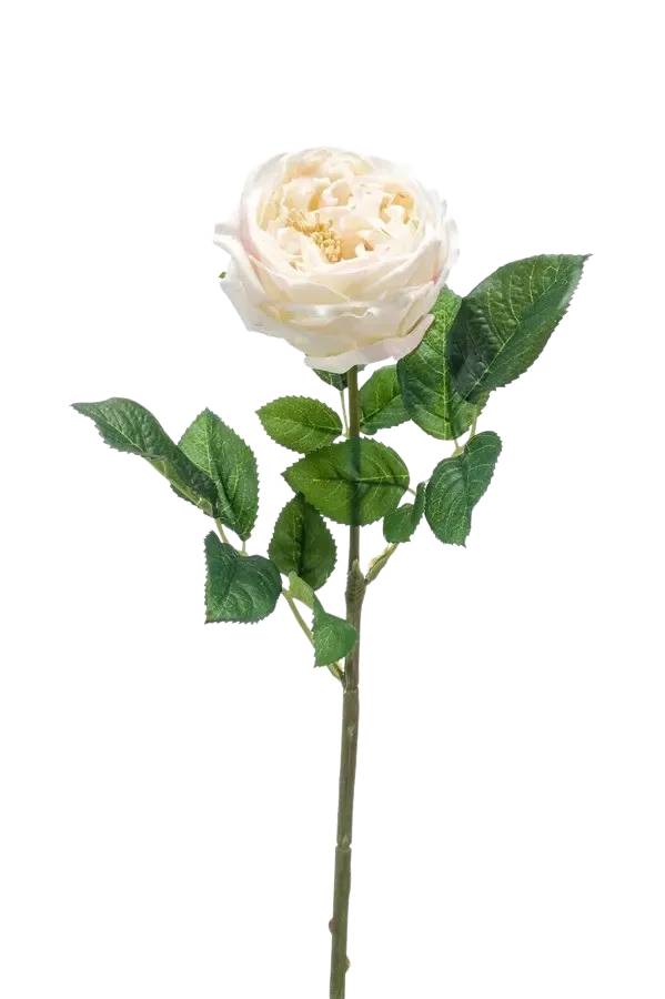 Künstliche Rose Miranda kaufen | home24